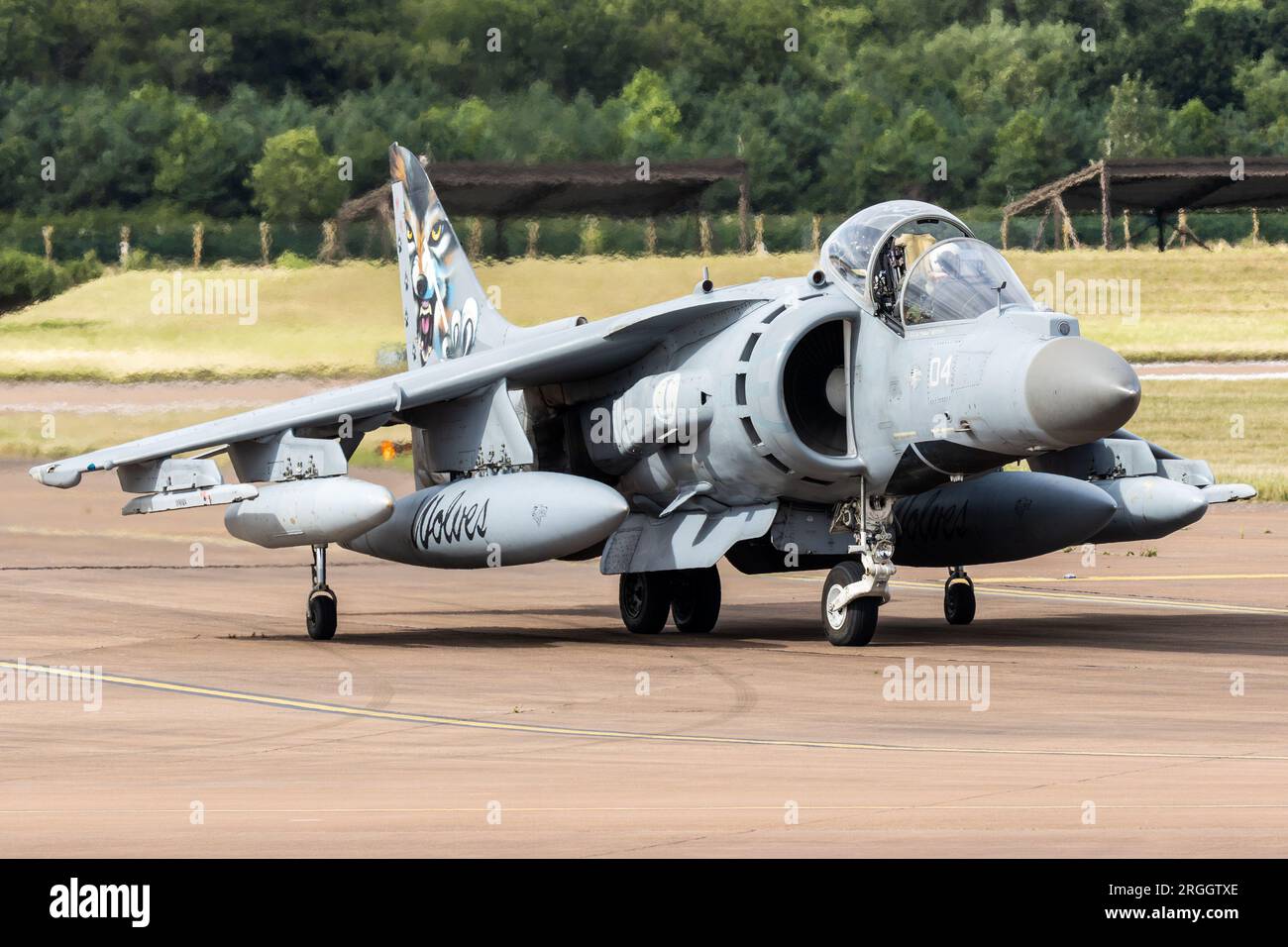 Italian av 8b harrier hi-res stock photography and images - Alamy