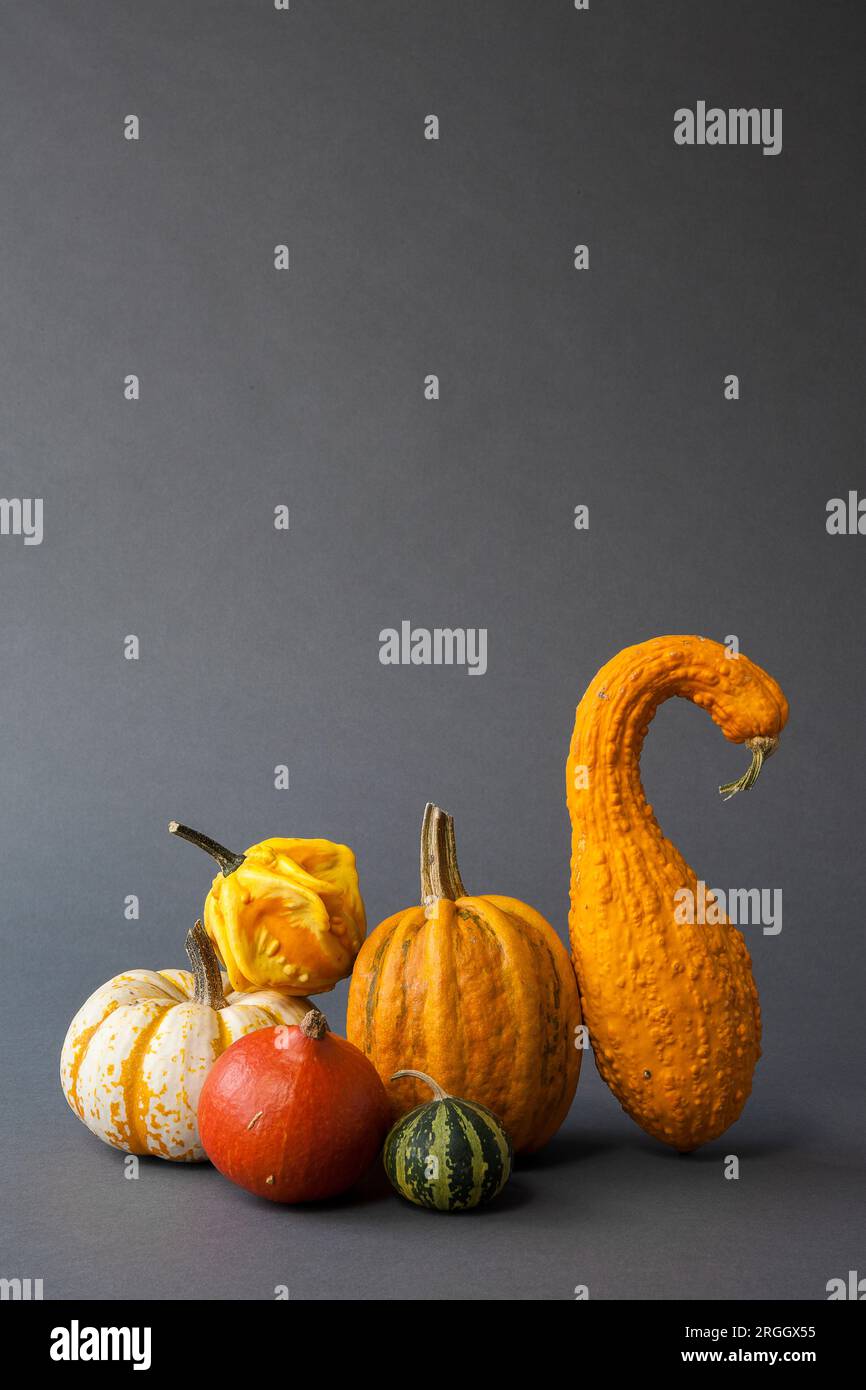 Various medium group of objects hi-res stock photography and images - Alamy