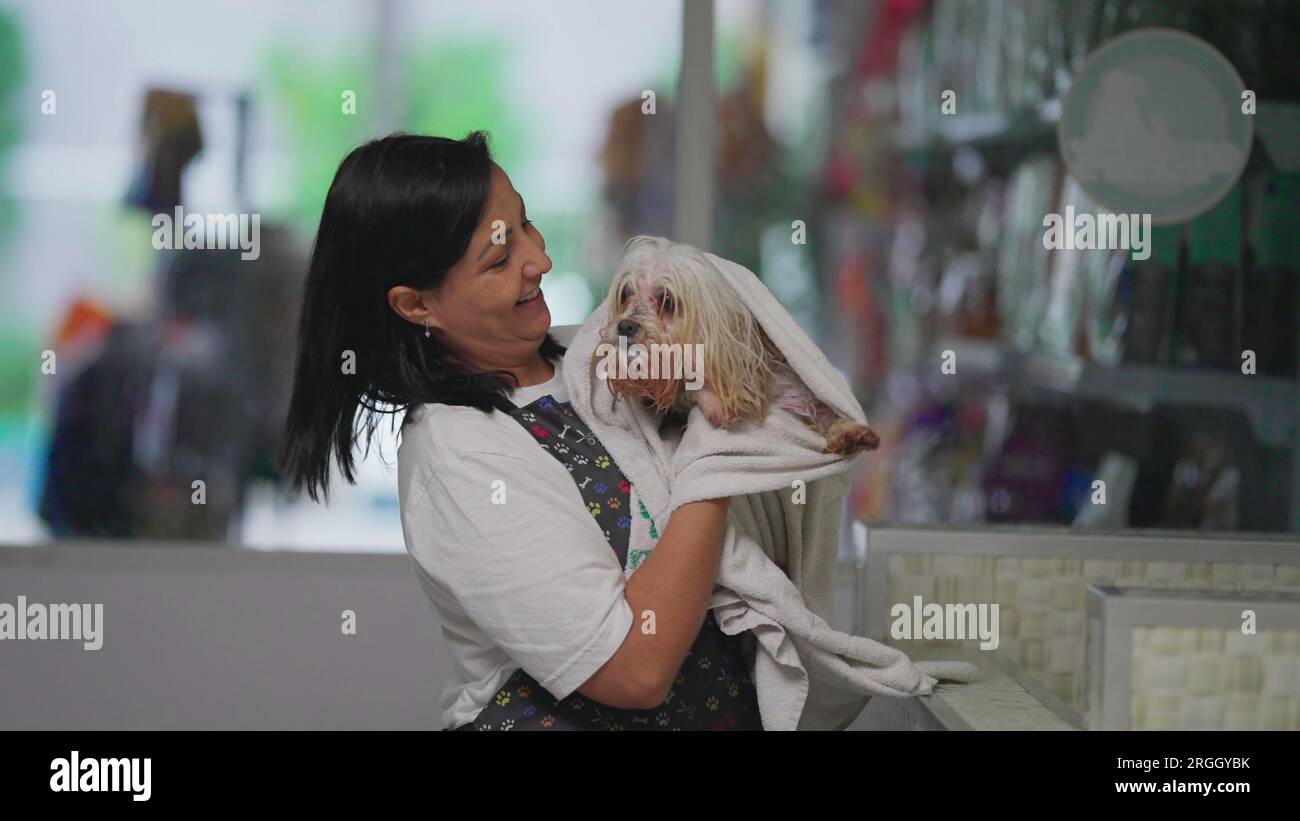 Happy Pet Shop Employee holding Shih Tzu Dog after bath. Female ...