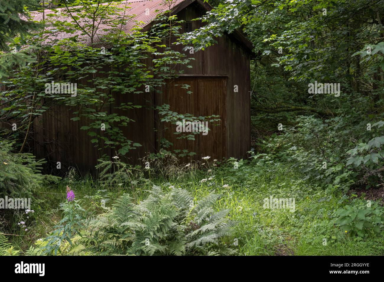 Hide shed hi-res stock photography and images - Alamy