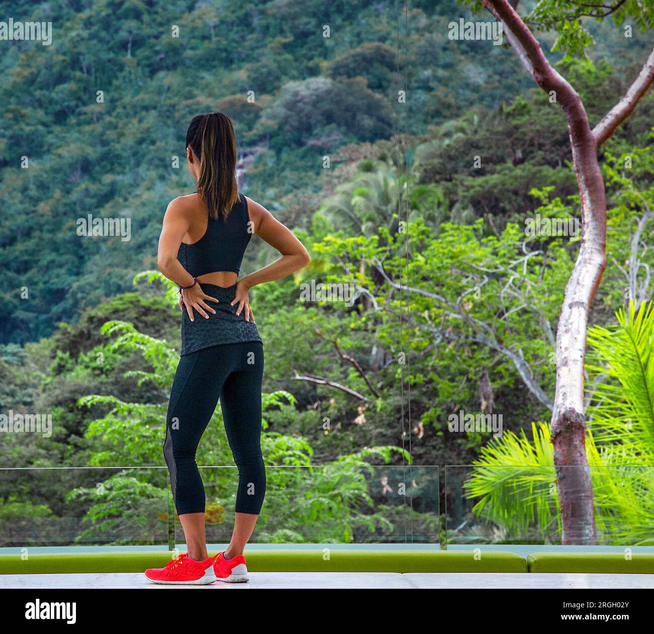 Woman in workout gear overlooking a forest Stock Photo - Alamy