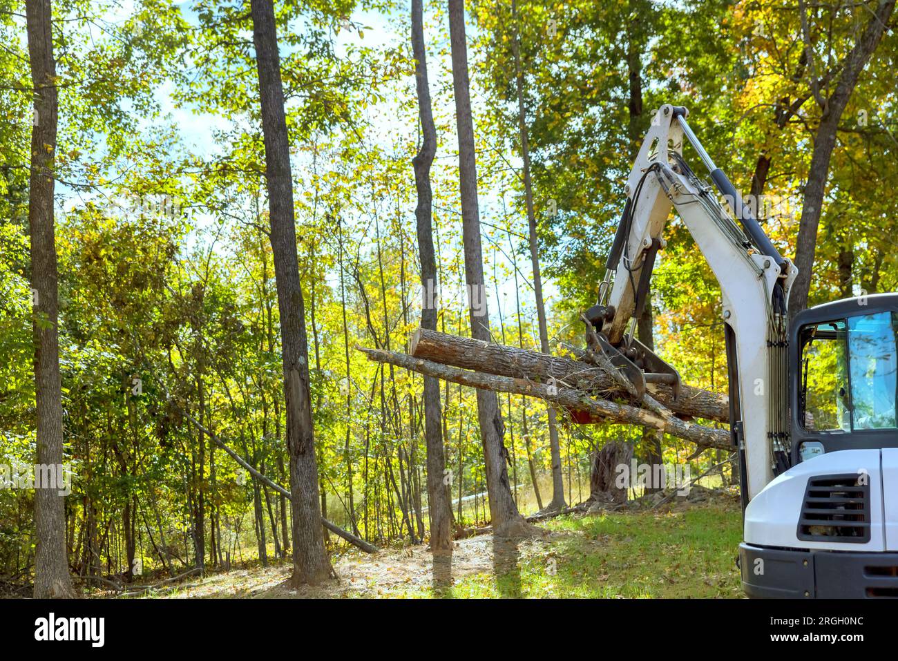 During landscaping work: tractor skid steer clears trees during ...