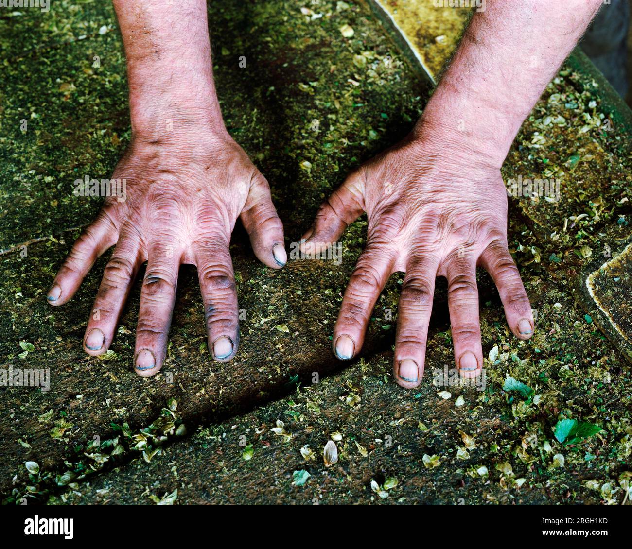 Closeup image human hands hi-res stock photography and images - Alamy