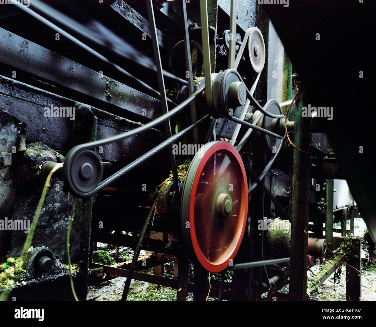 Hop picking machine Stock Photo - Alamy