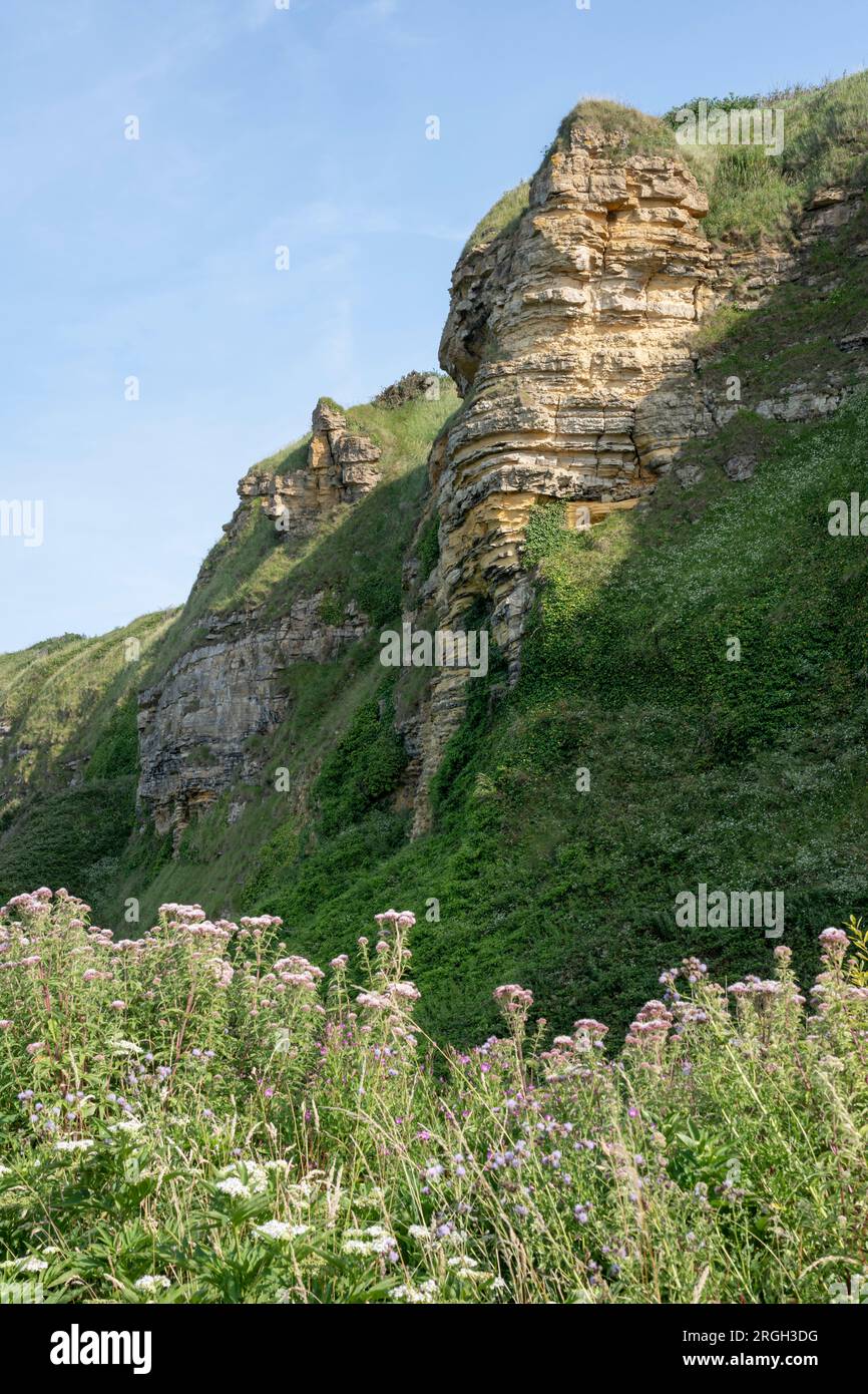 Battery of Longues-sur-Mer. View of the pebble beach surrounded by ...