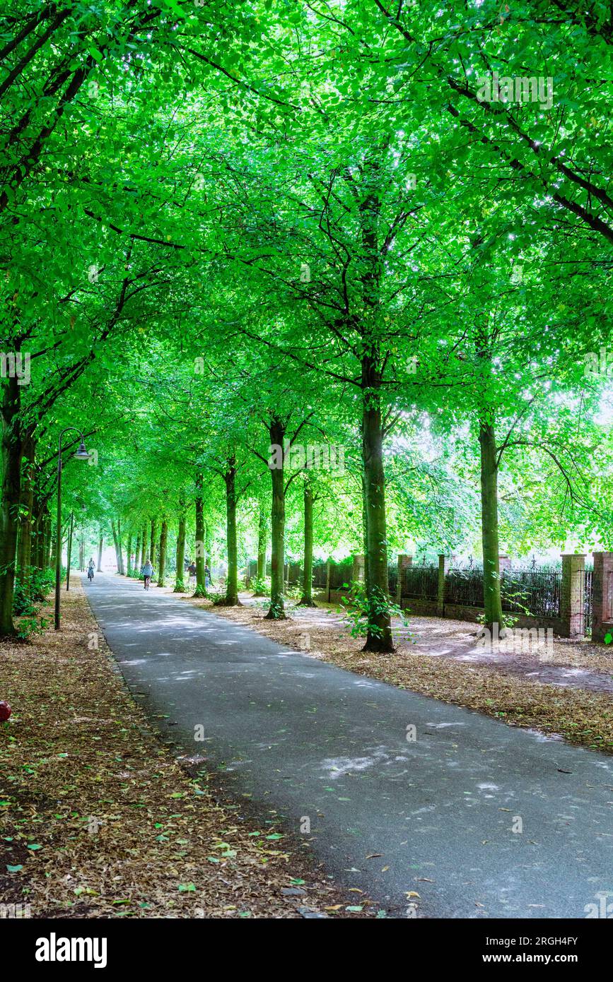 Promenade (city park) in Muenster/Germany Stock Photo - Alamy