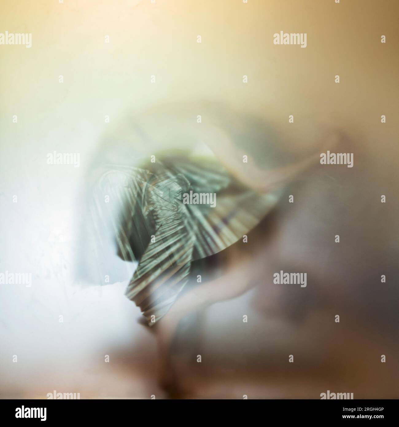 Female bent double hi-res stock photography and images - Alamy