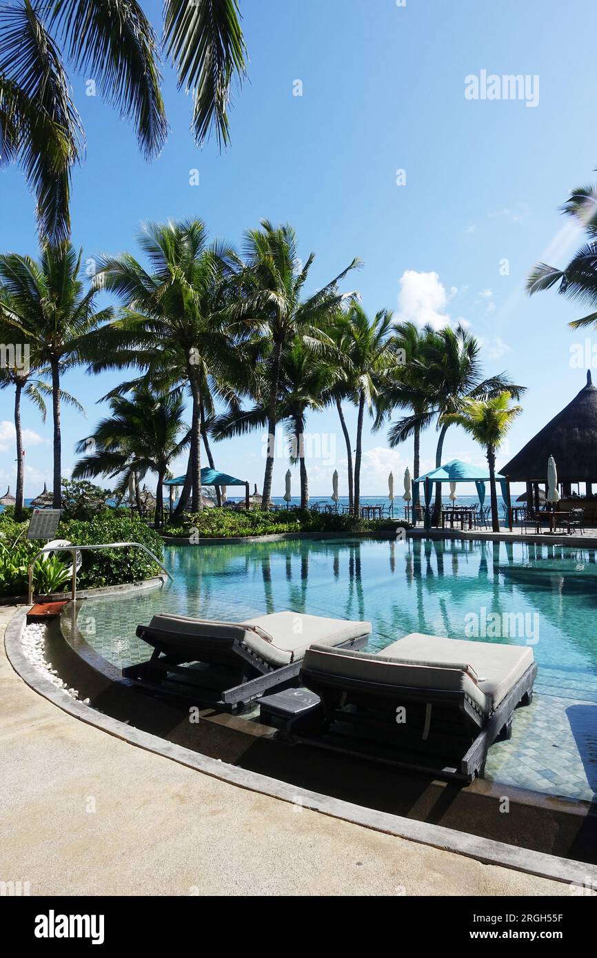 Palm Tree Swimming Pool Misters