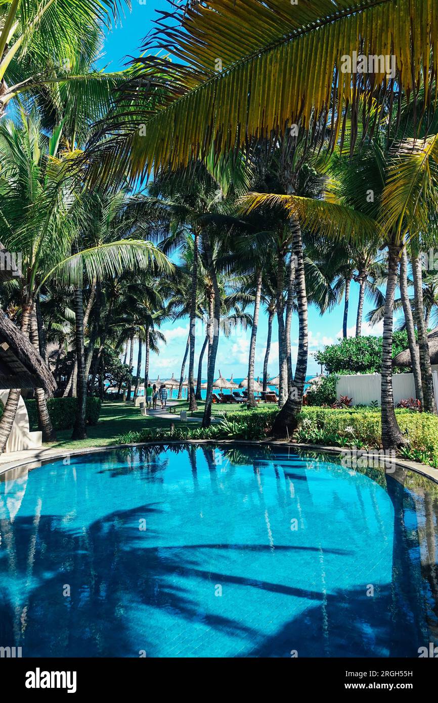 Resort swimming pool with palm trees Stock Photo - Alamy