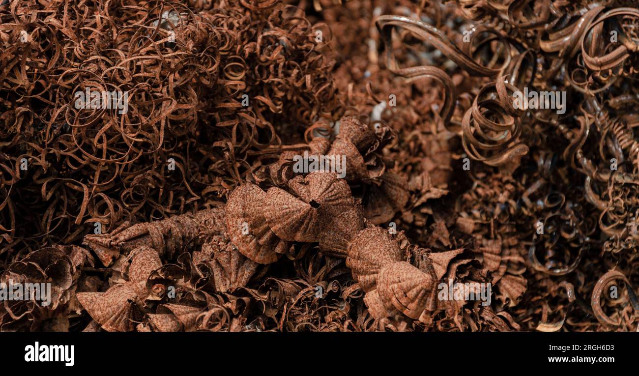 rusty swarf debris, waste pieces from turning process of metal working ...
