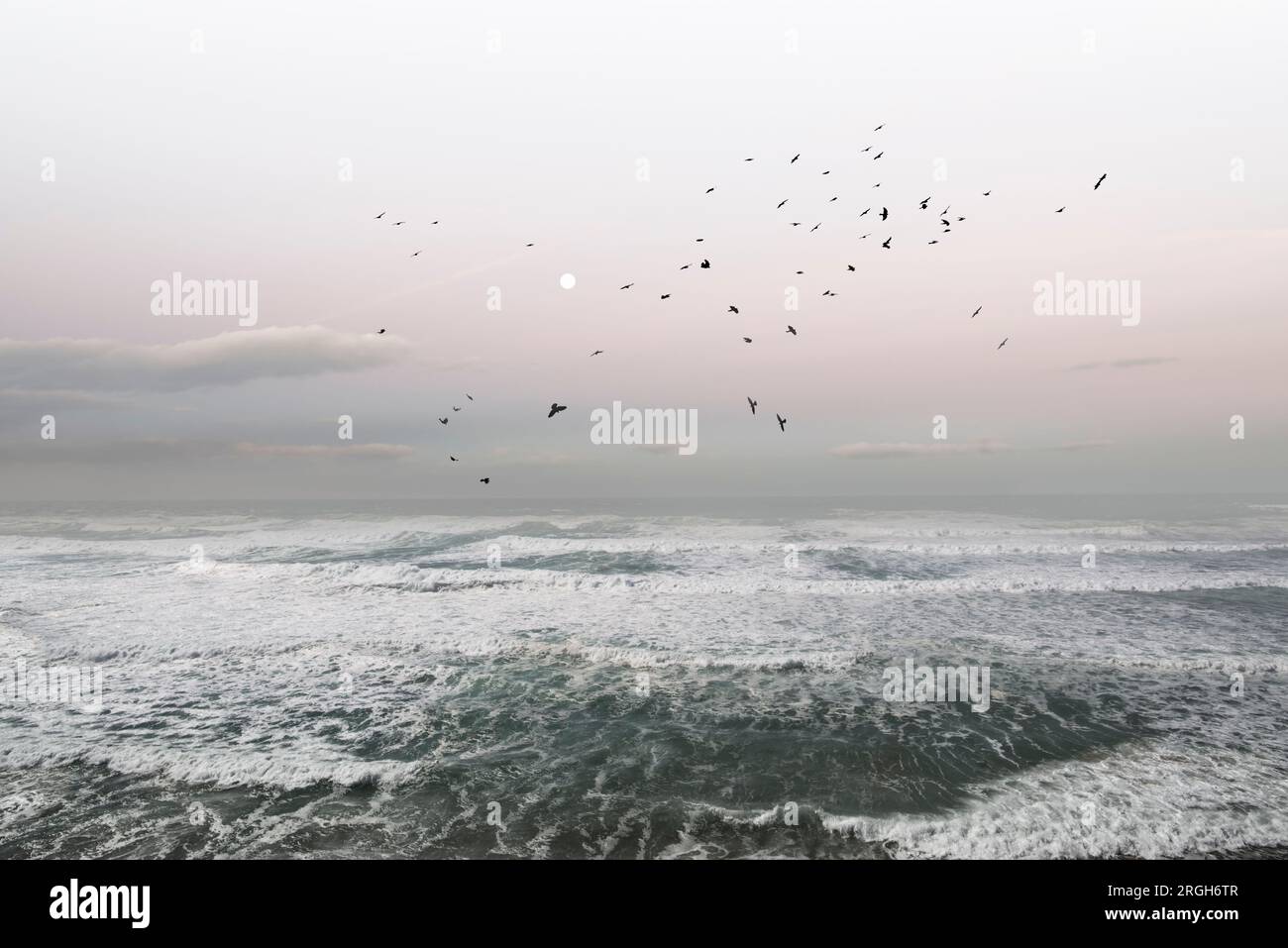 Over seas birds hi-res stock photography and images - Alamy