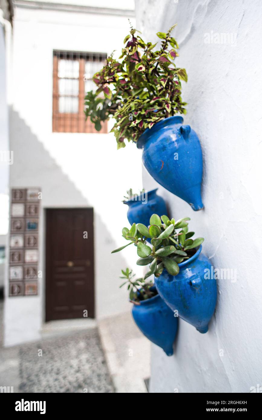 Blue flower pots hanging on house facade Stock Photo - Alamy