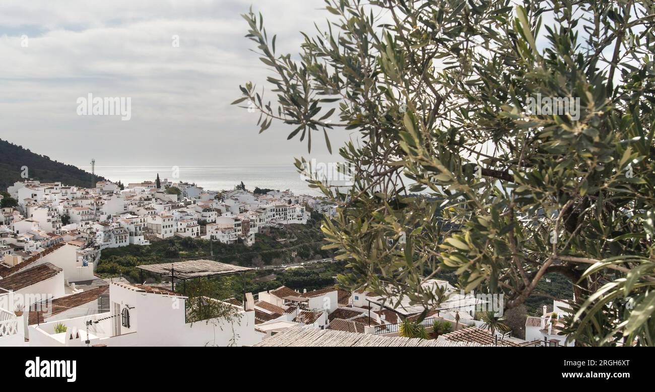 Tree above village in Spain Stock Photo - Alamy