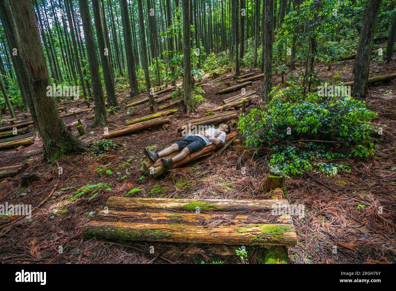 Kumano Kodo pilgrimage route. Way to the grand shrine, Kumano Hongu ...