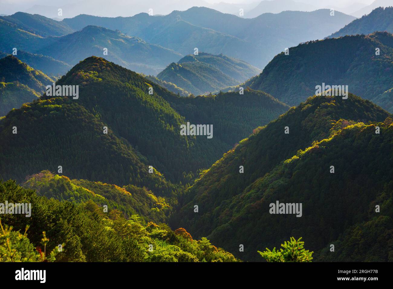 Kumano Kodo Kumano Kodo pilgrimage route. Sacred Kumano Mountains from ...