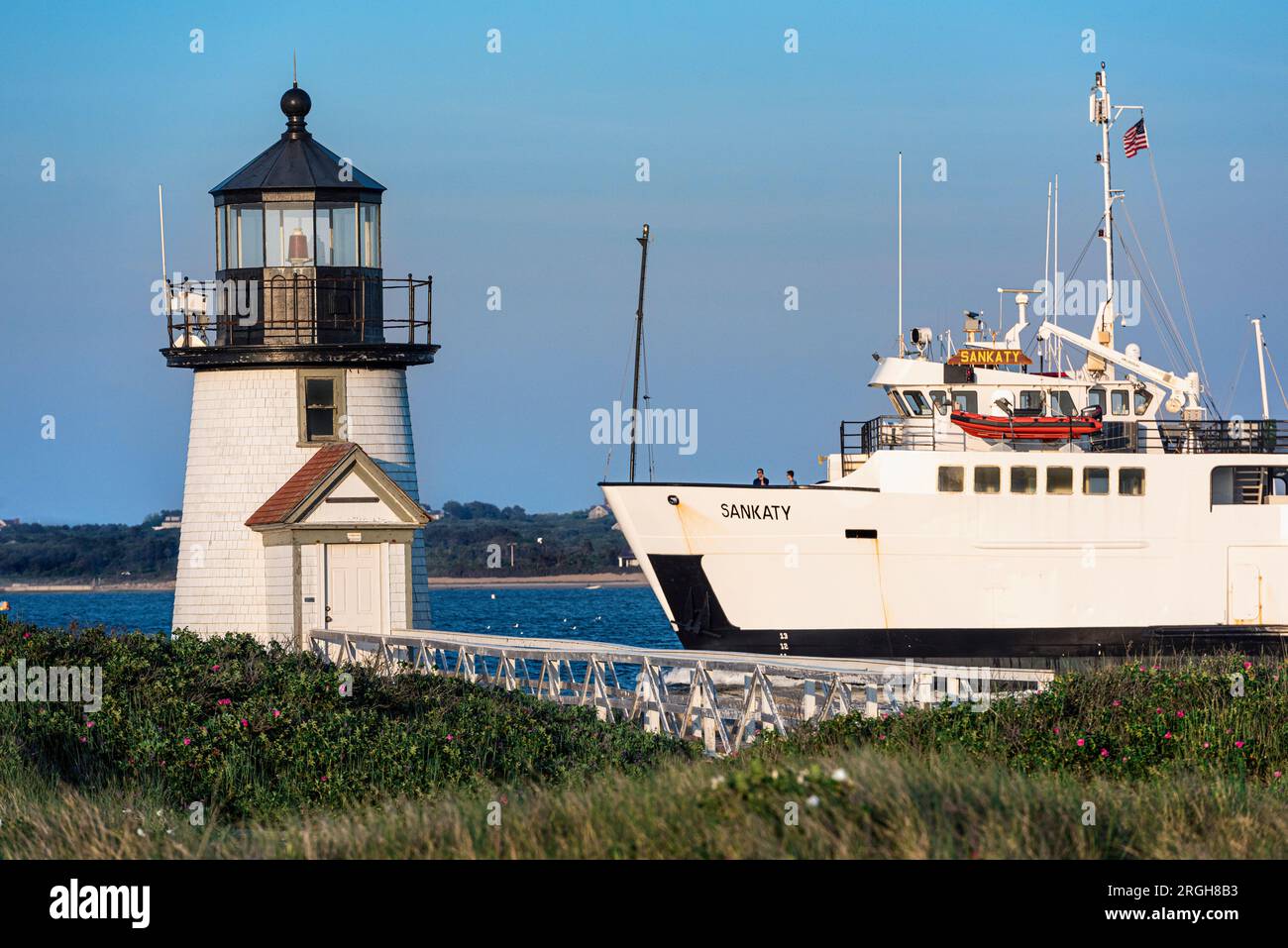 Are Dogs Allowed On Nantucket Ferry