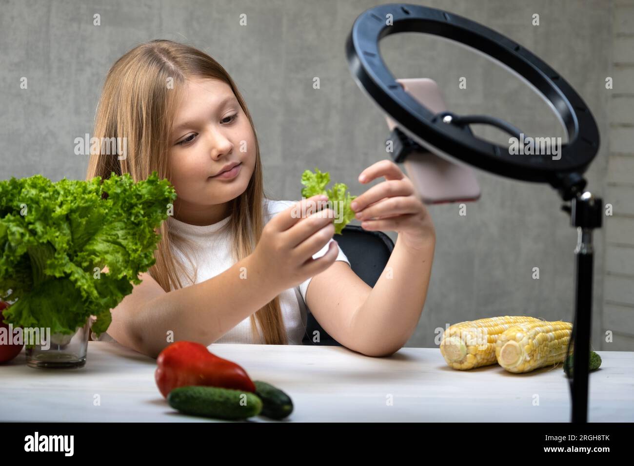 Vloggers hi-res stock photography and images - Alamy