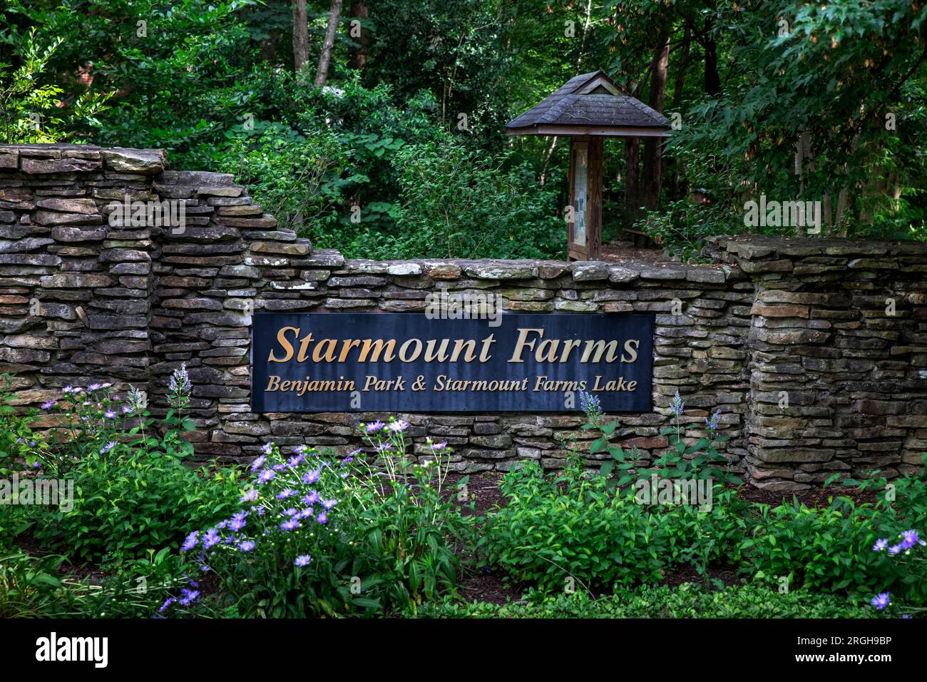 Starmount Farms Park, The Bog Garden Stock Photo - Alamy