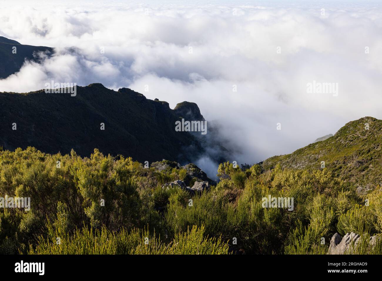 Great sunrise on the Pico do Arieiro in Madeira with epic fog wrapping ...