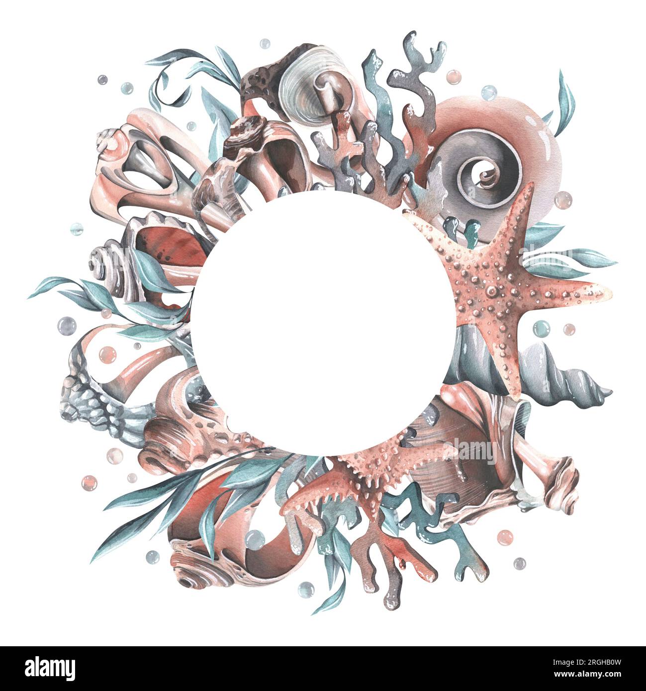 Seashells, starfishes, bubbles, algae and corals turquoise. Watercolor ...