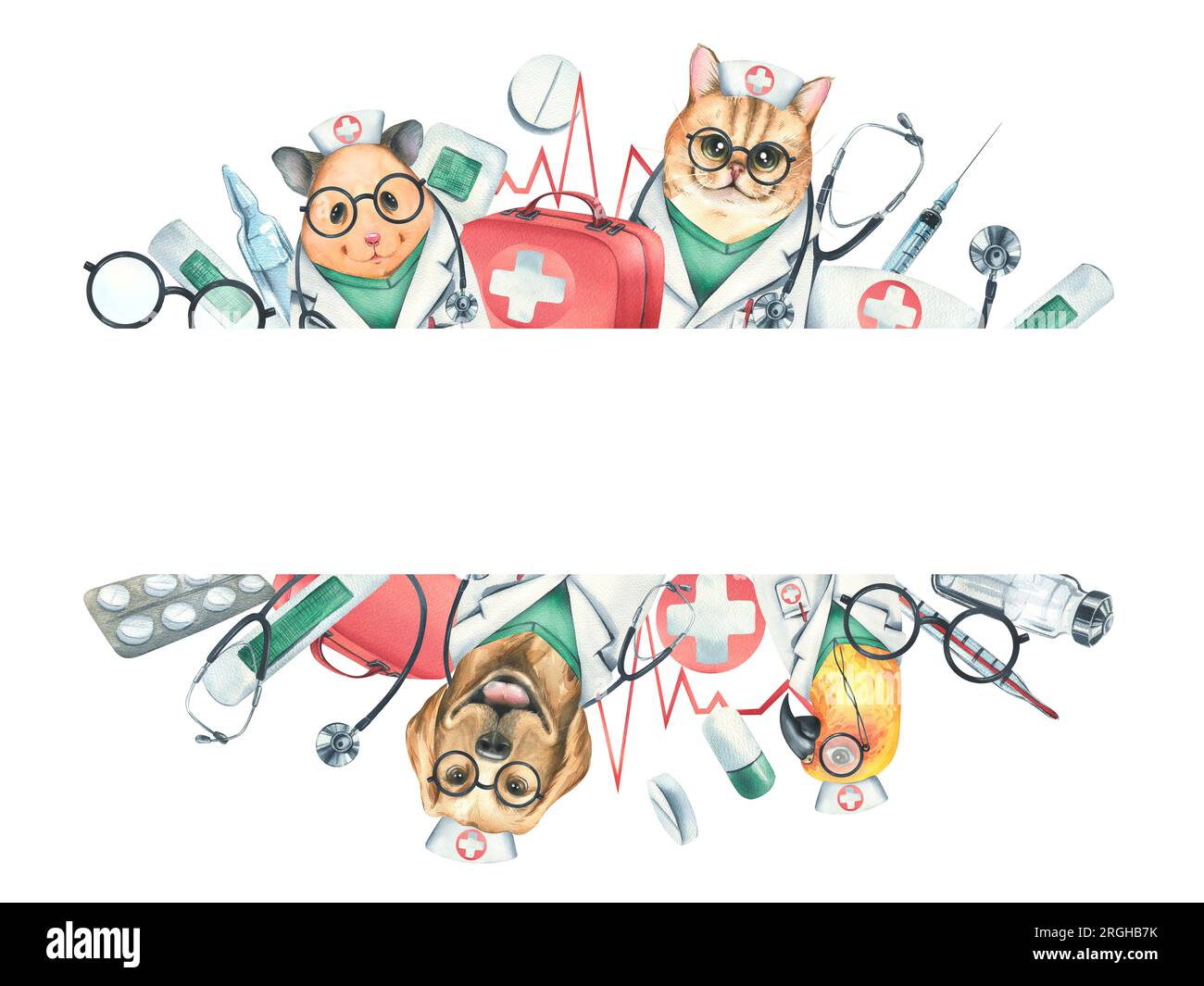 Dog, cat, hamster, parrot doctors in a dressing gown, glasses ...