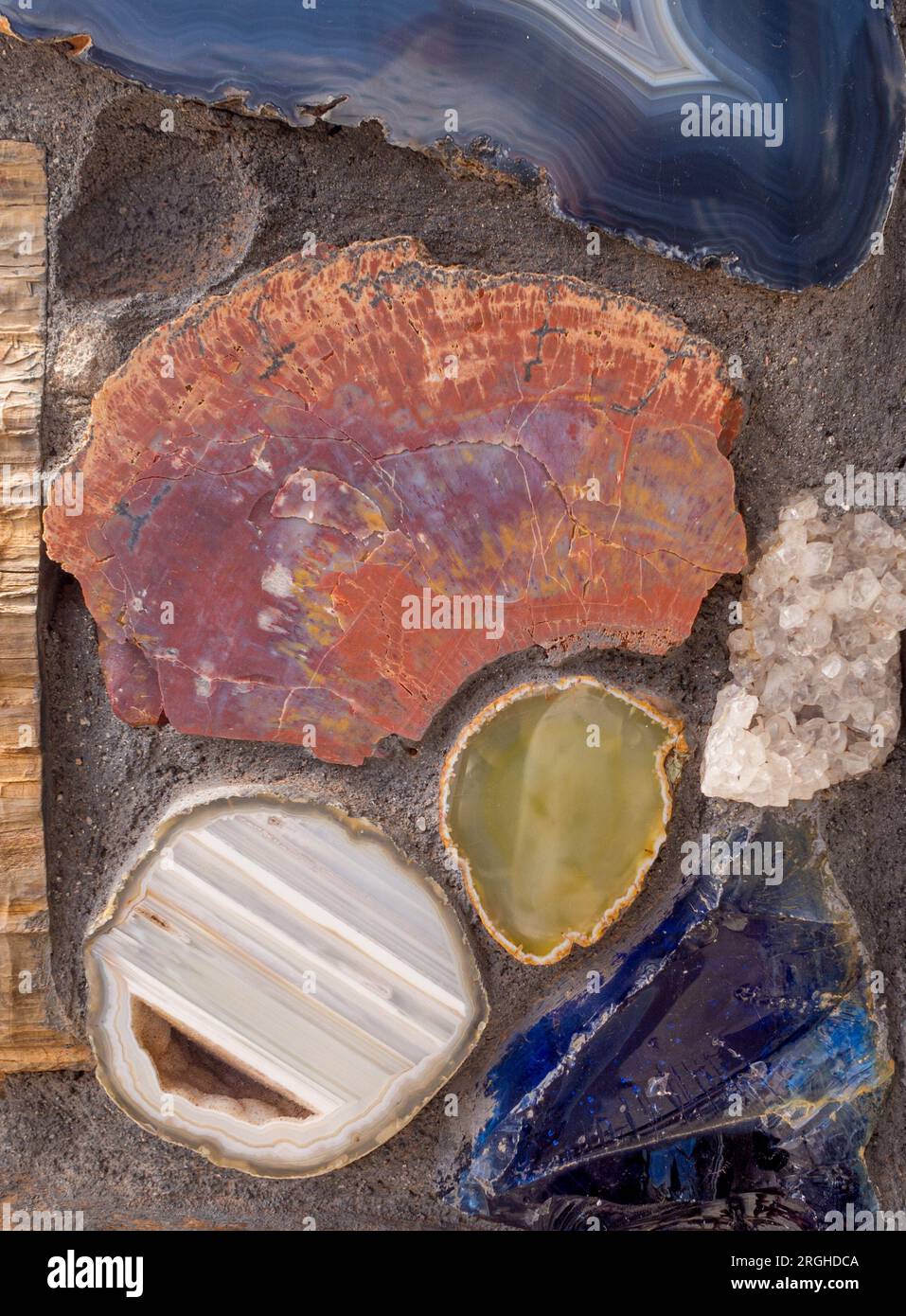 Petrified stones hi-res stock photography and images - Alamy