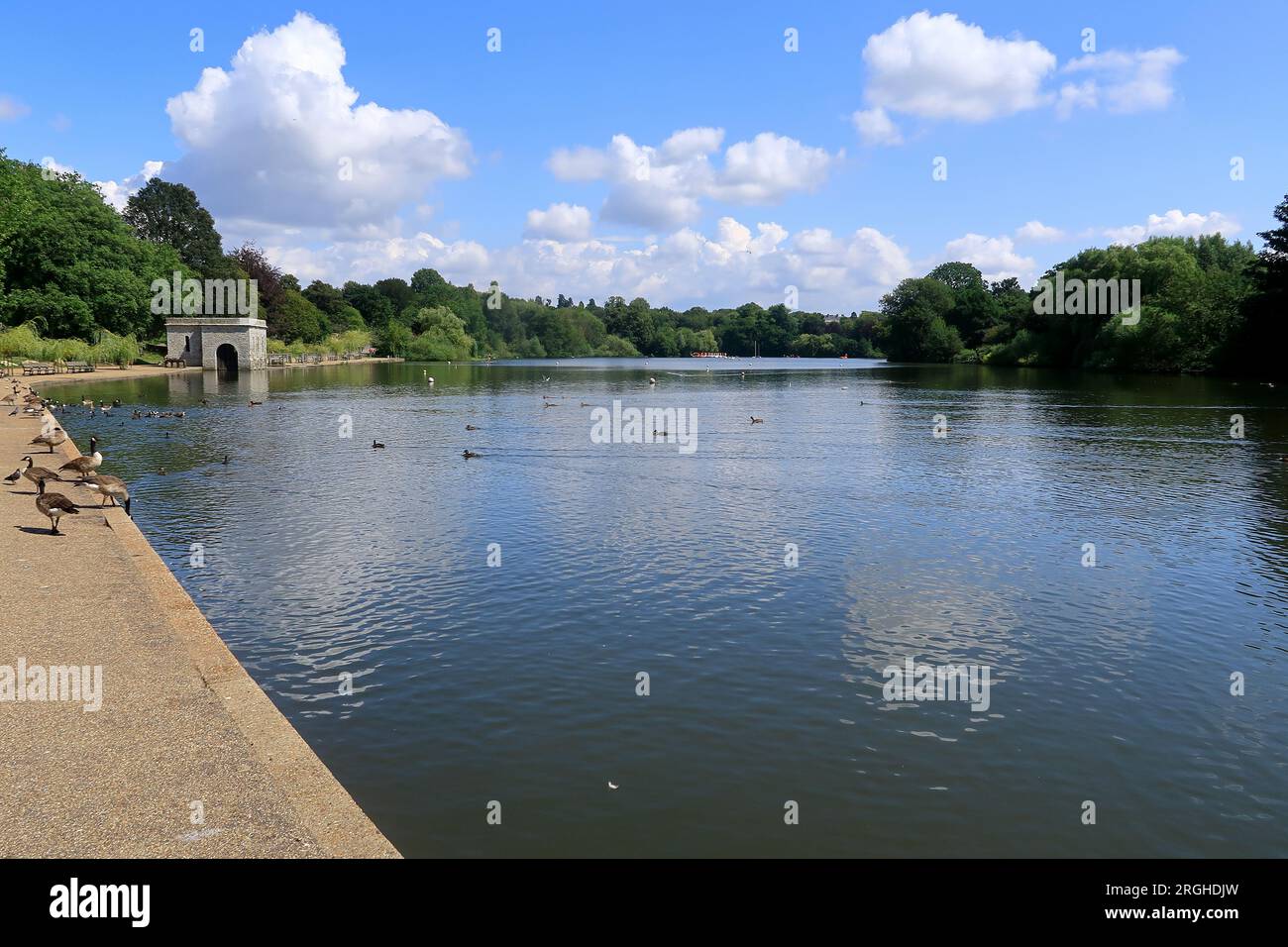 The Lake at Mote Park on a beautiful summers day Stock Photo - Alamy