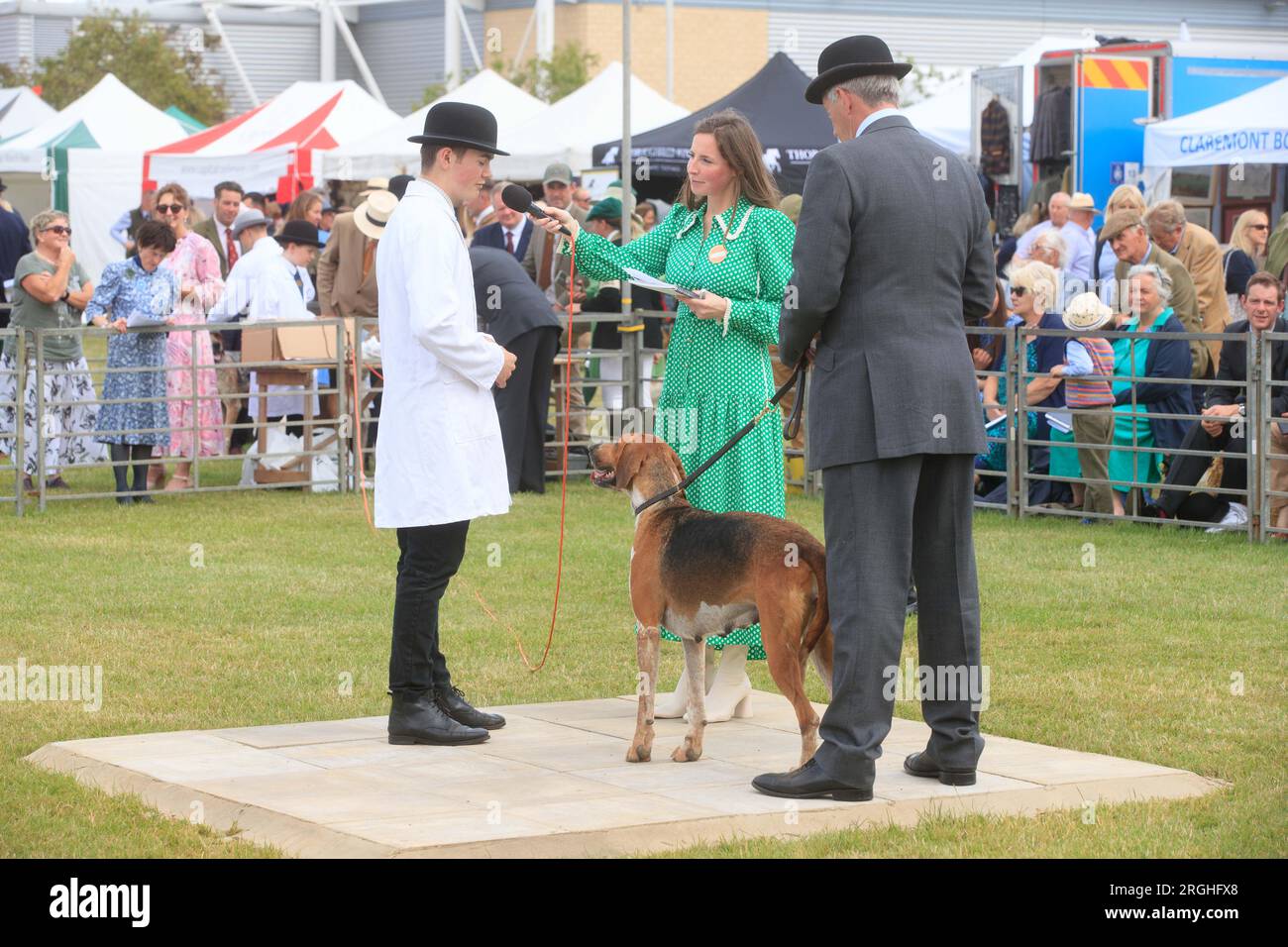 Peterborough foxhound show hi-res stock photography and images - Alamy