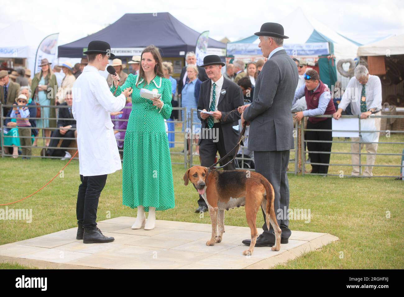 Royal foxhound hi-res stock photography and images - Alamy