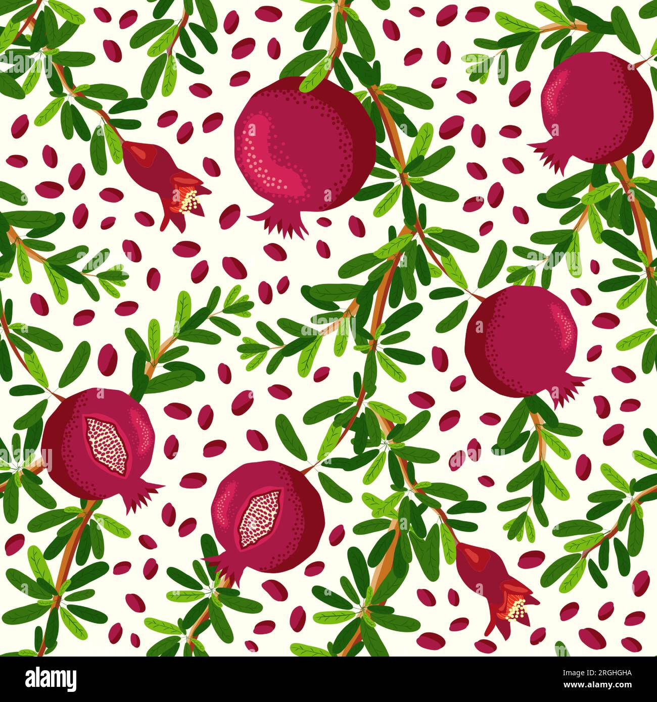 Lobules fruits Stock Vector Images - Alamy