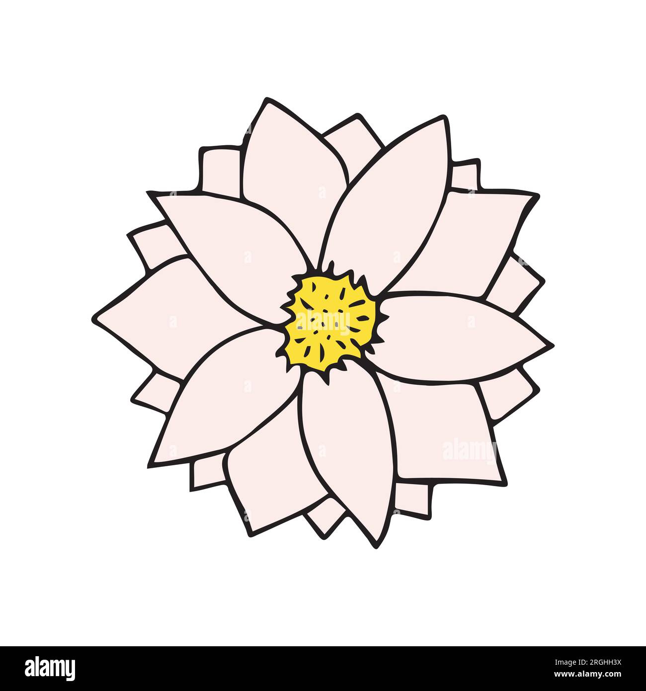 Vector hand drawn doodle water lily flower Stock Vector Image & Art - Alamy Vector hand drawn doodle water lily flower Stock Vector Image & Art - Alamy