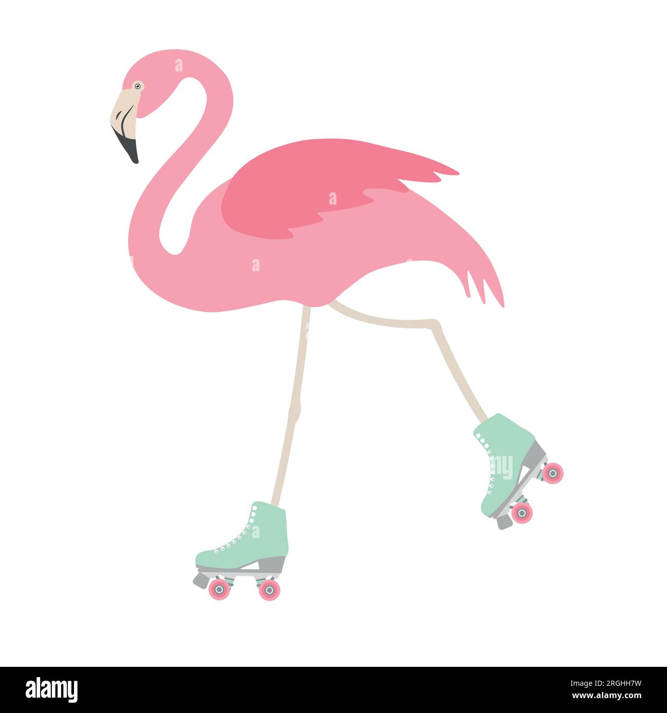 Vector hand drawn flamingo riding roller skates Stock Vector Image ...