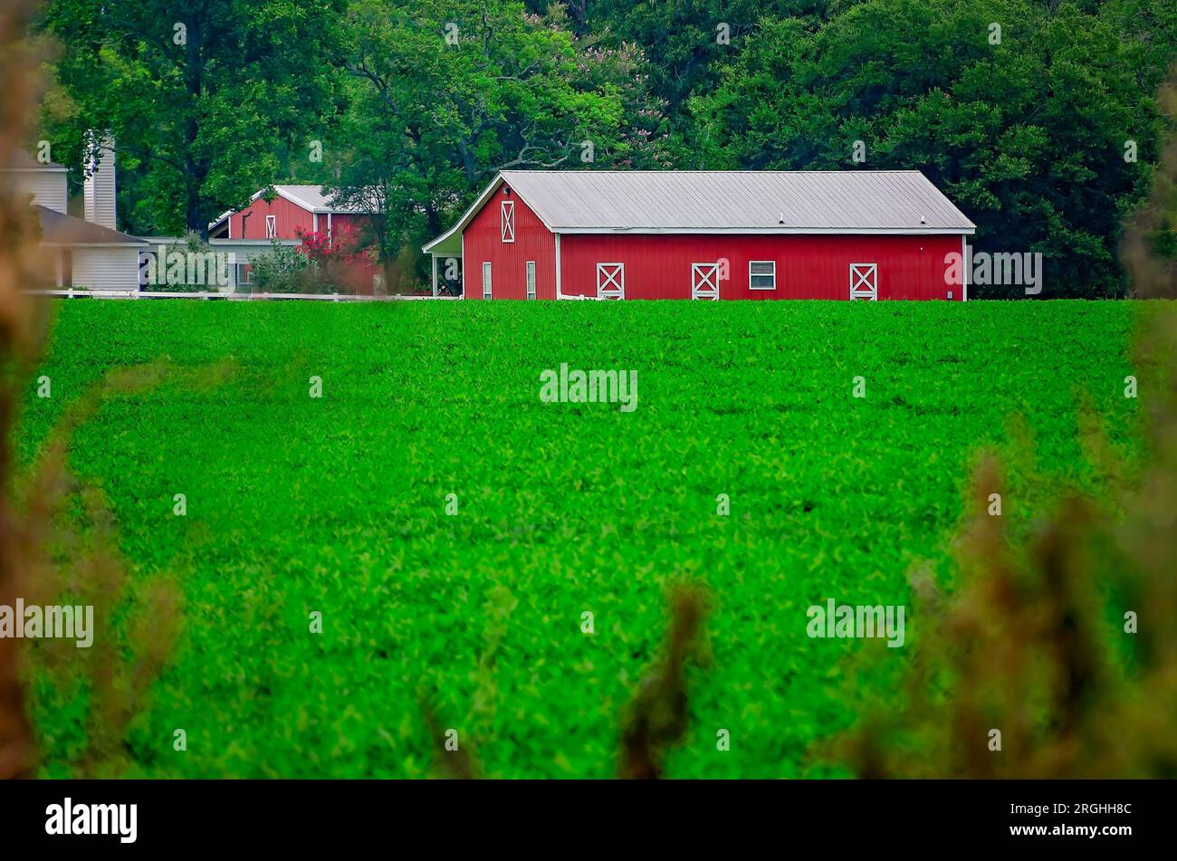Classic red barn hi-res stock photography and images - Alamy