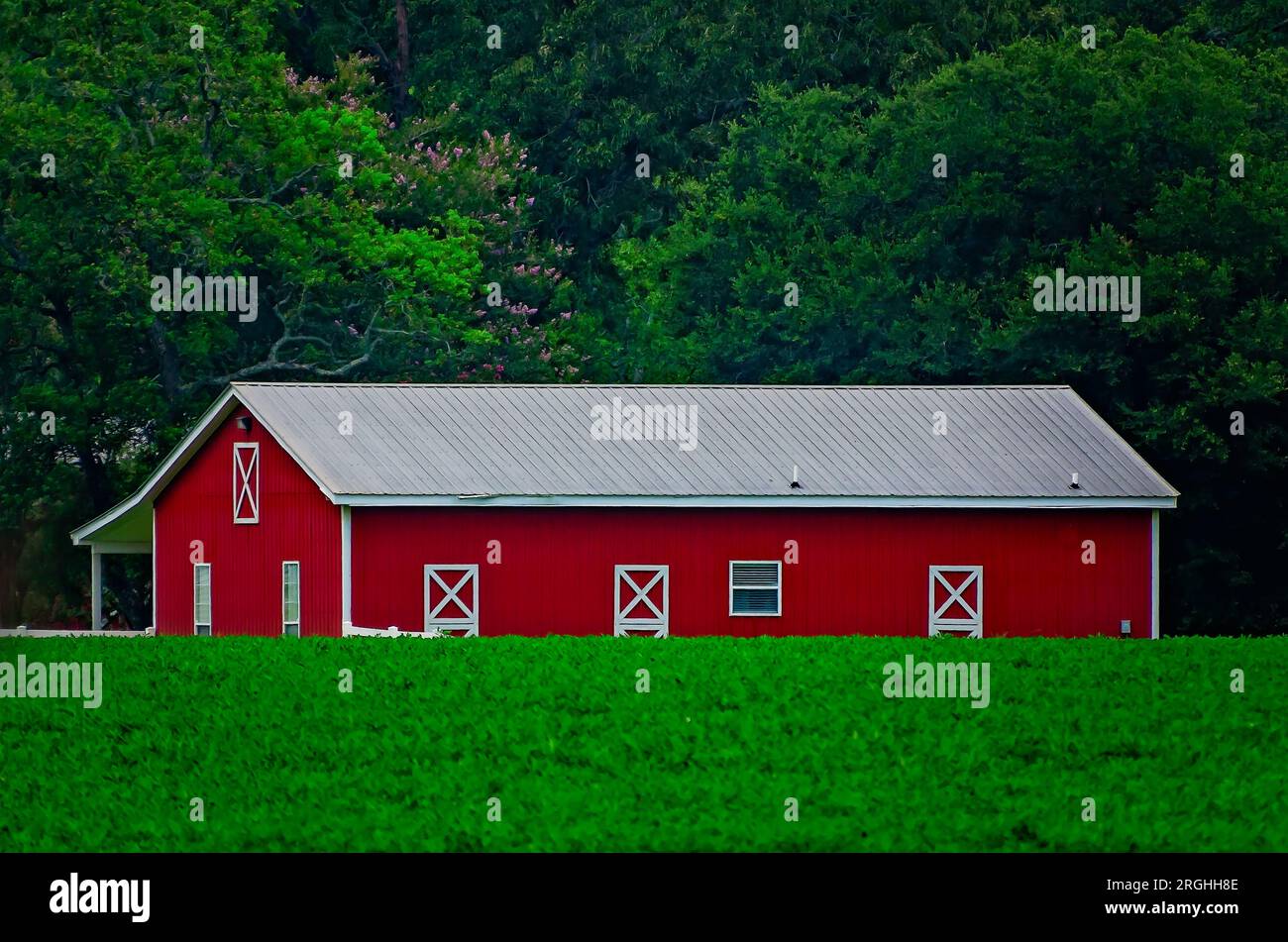 Community farming south america hi-res stock photography and images - Alamy