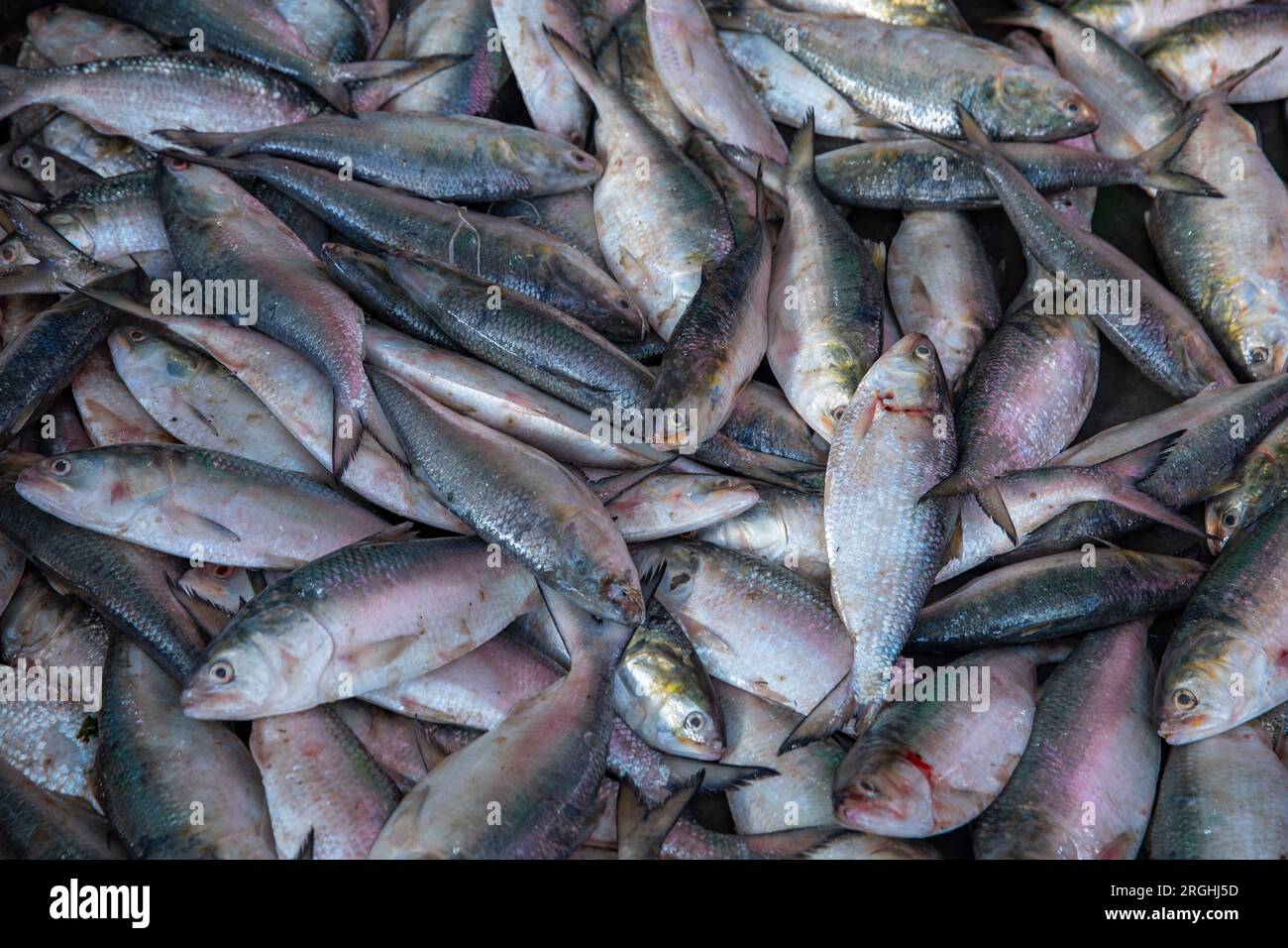 Fish river station hi-res stock photography and images - Alamy