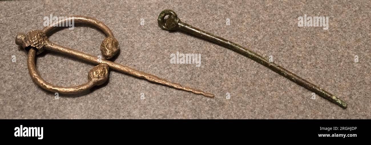 Scottish thistle brooch hi-res stock photography and images - Alamy