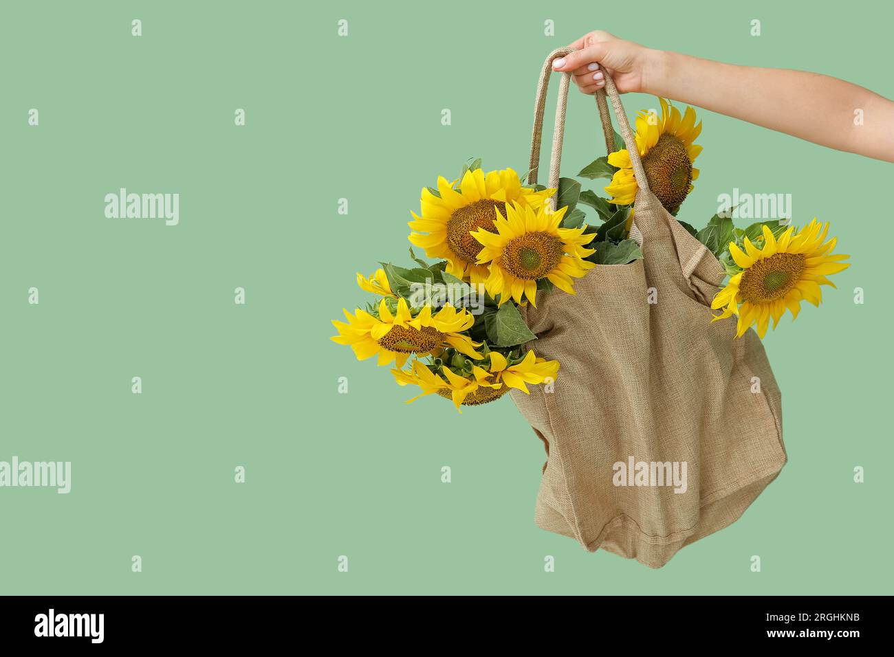 Sunflowers in bag hi-res stock photography and images - Alamy