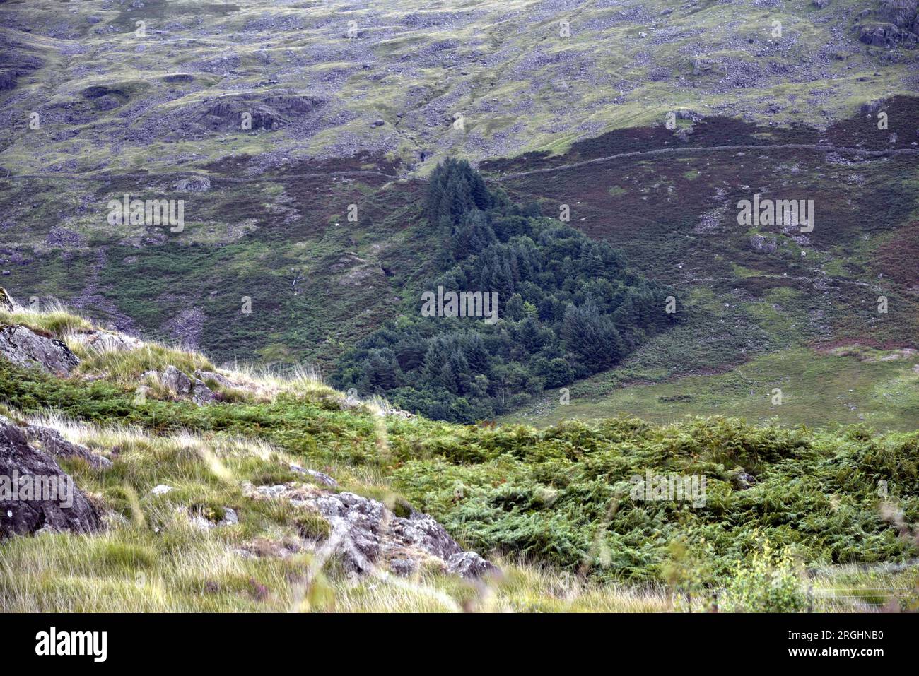 Duddon valley, hardknott forest hi-res stock photography and images - Alamy