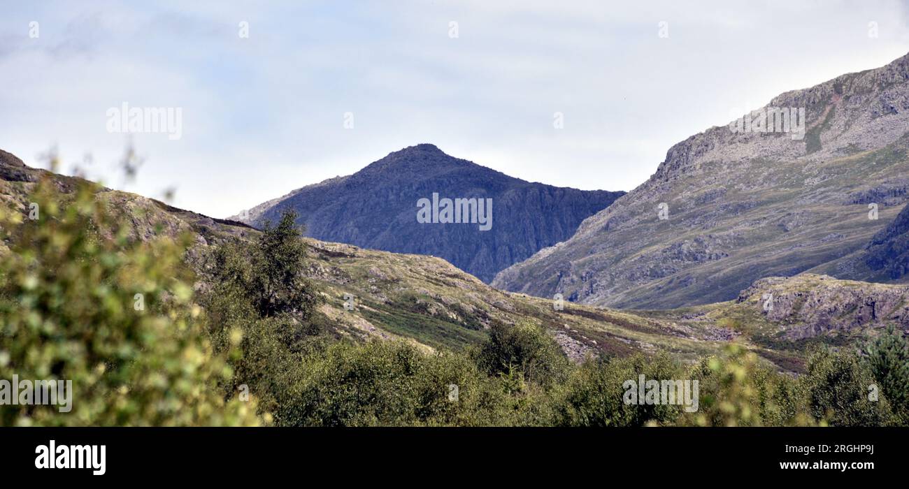 Hardknott forest hi-res stock photography and images - Alamy