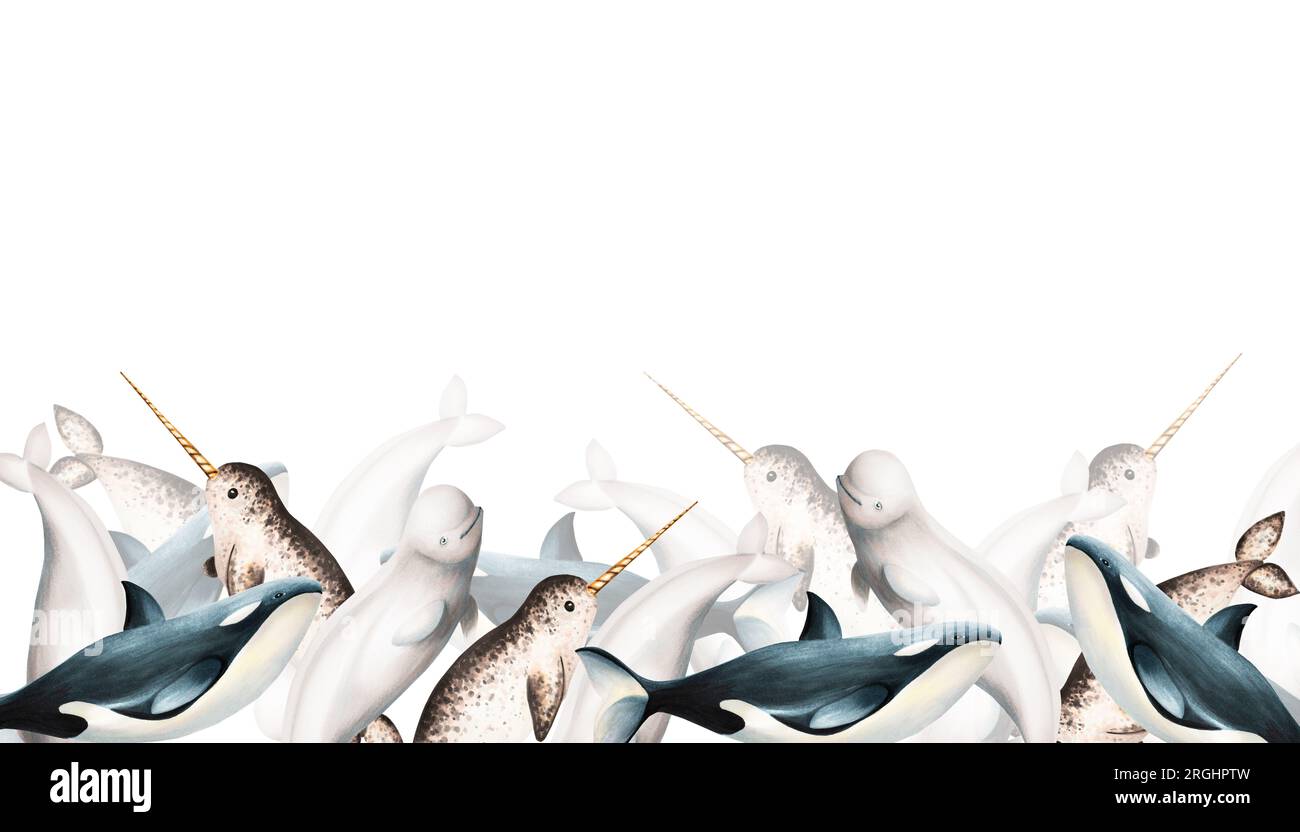 Watercolor frame with beluga, killer whale and narwhal isolated on ...