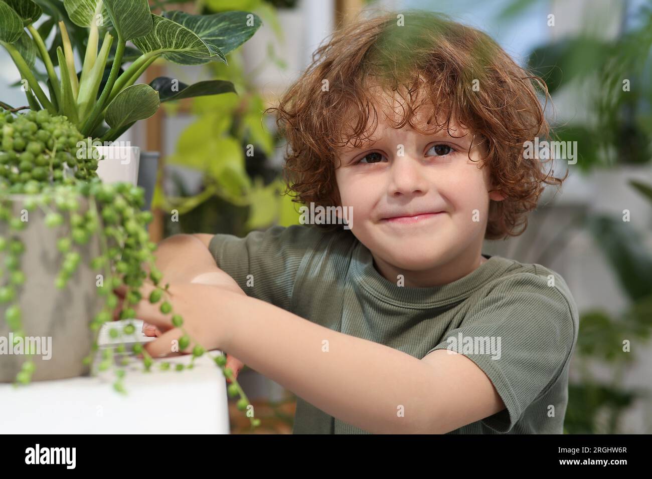 Cute little boy taking care of beautiful green plant at home. House ...
