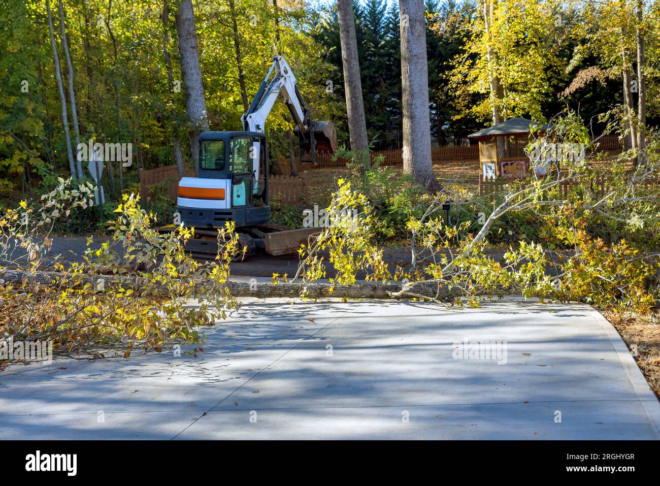 There is fallen uprooted trees after storm hurricane near home in ...