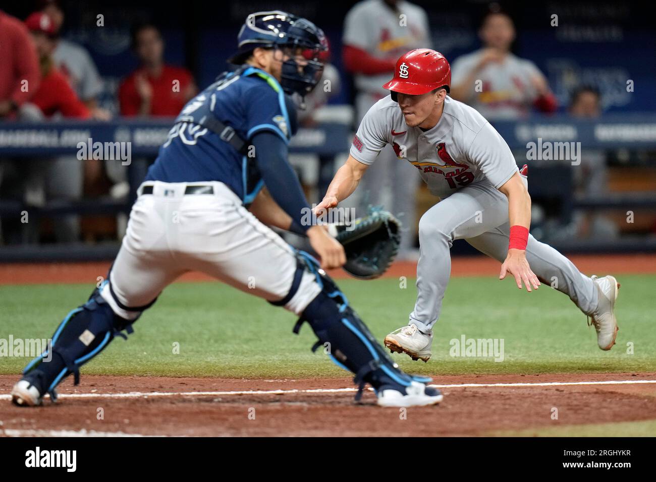 St. Louis Cardinals' Tommy Edman (19) scores around Tampa Bay Rays ...