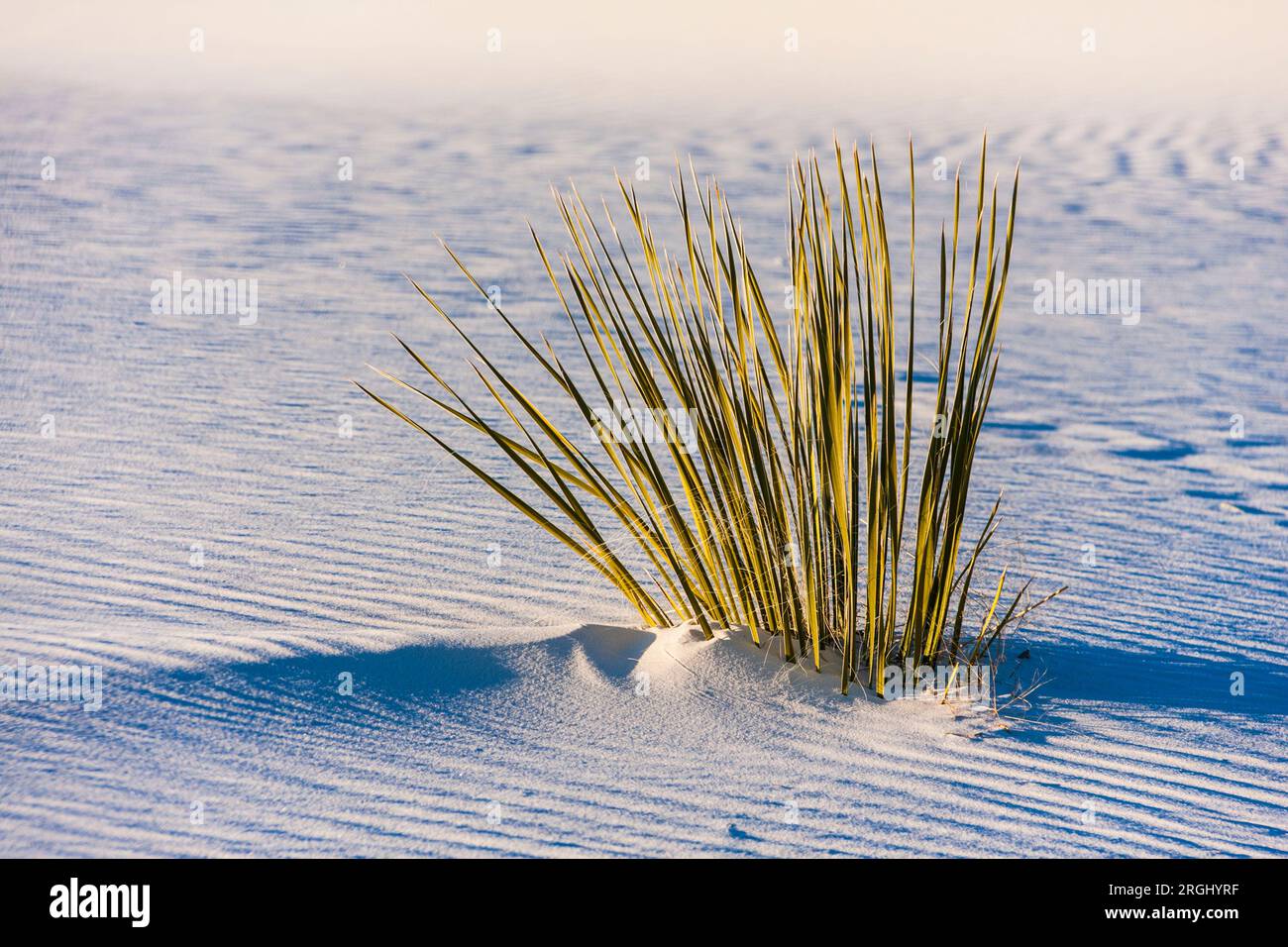 Sand dunes at White Sands National Park in New Mexico on a cold morning ...