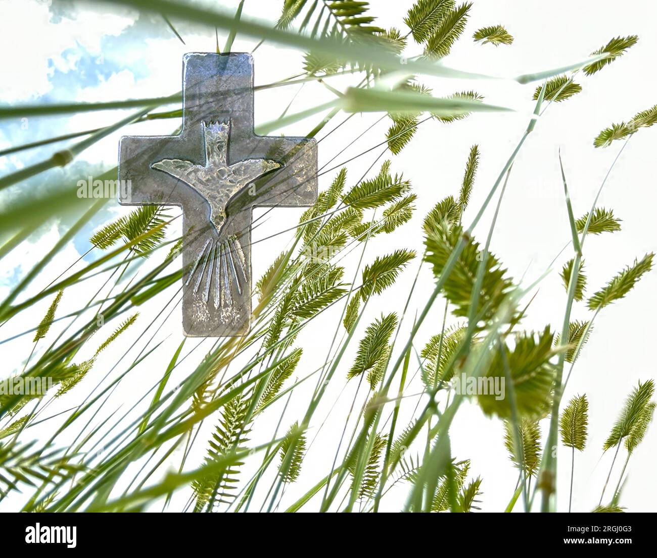 This composite shows looking above to the sky and seeing a cross with ...
