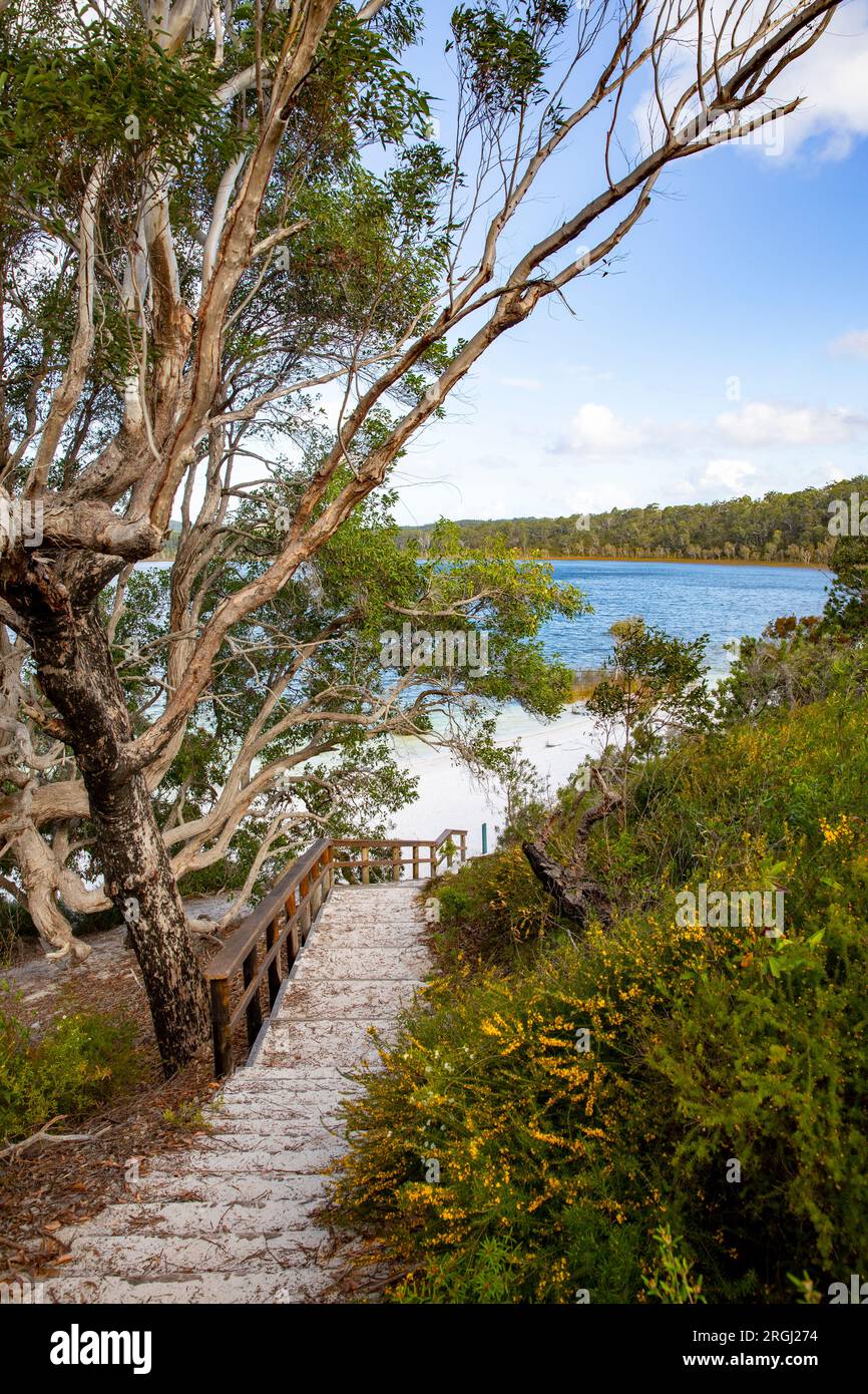 Lake Birrabeen Fraser Island K'gari, 2023, a perched lake with soft ...