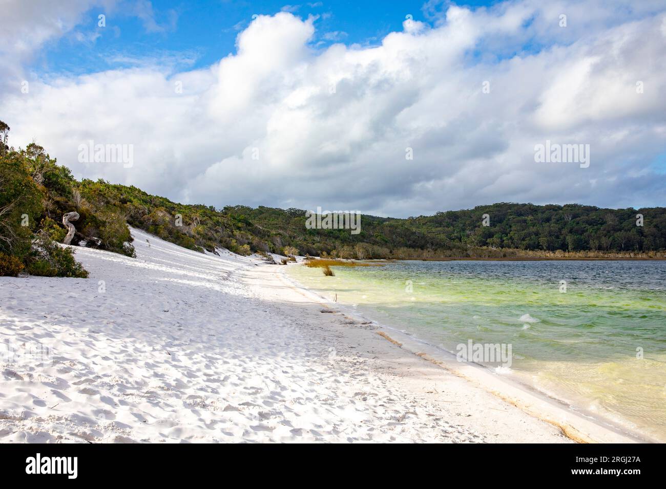 Lake Birrabeen Fraser Island K'gari, 2023, a perched lake with soft ...