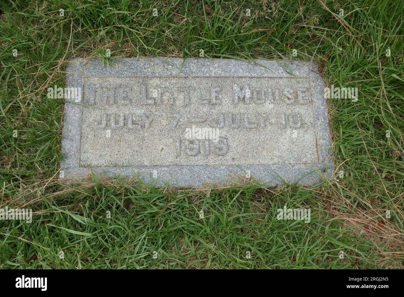 Norman Spencer Chaplin