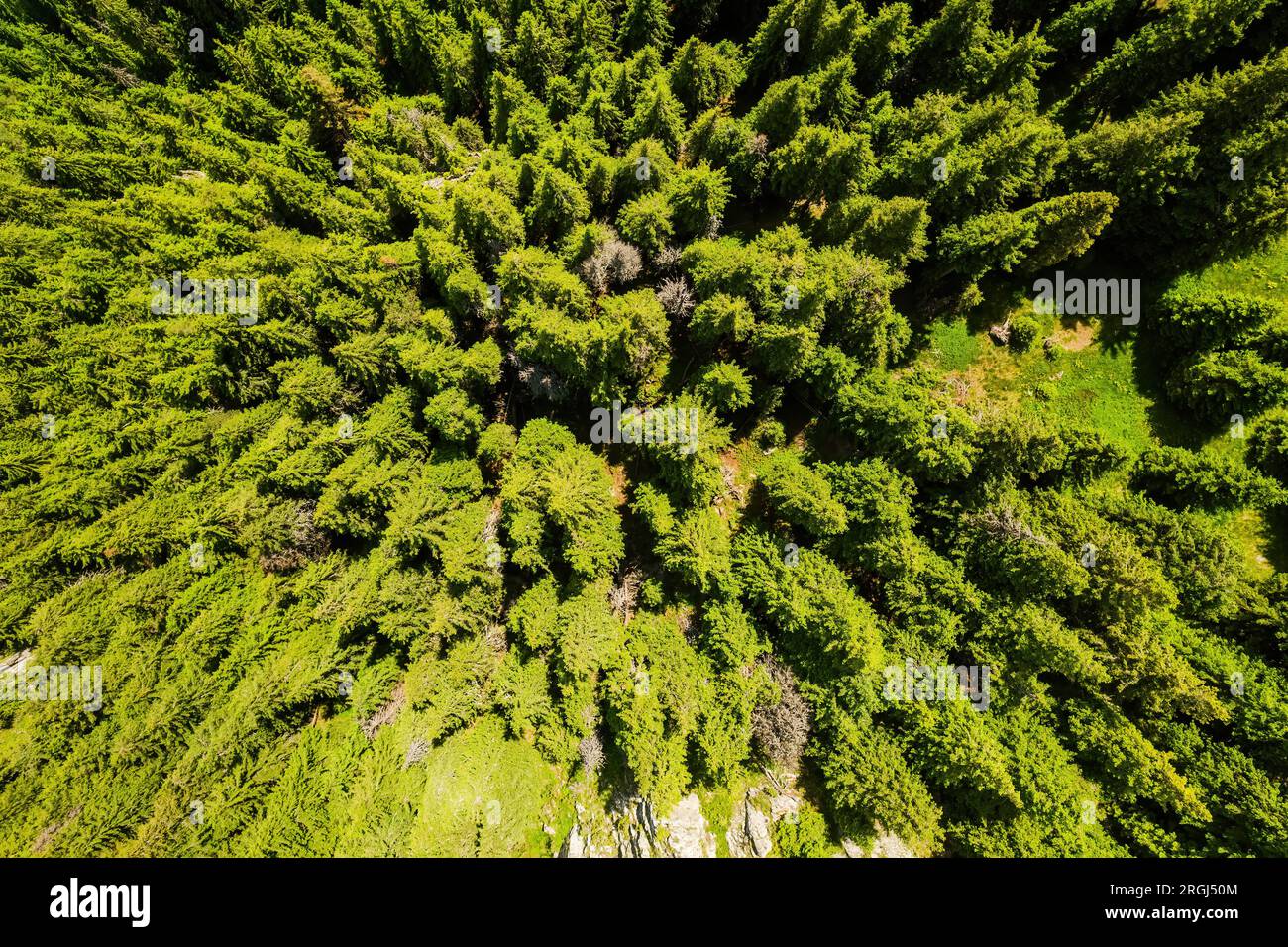 Photo of field from hill top hi-res stock photography and images - Alamy