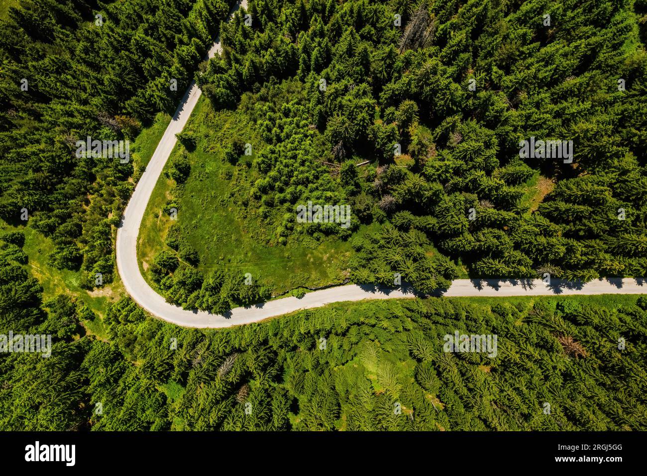 Flying above evergreen forest aerial hi-res stock photography and ...